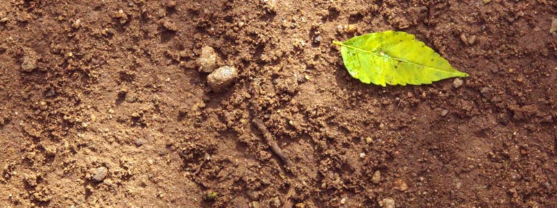 Die 7 Bodenklassen erklärt | Hausbau Ratgeber