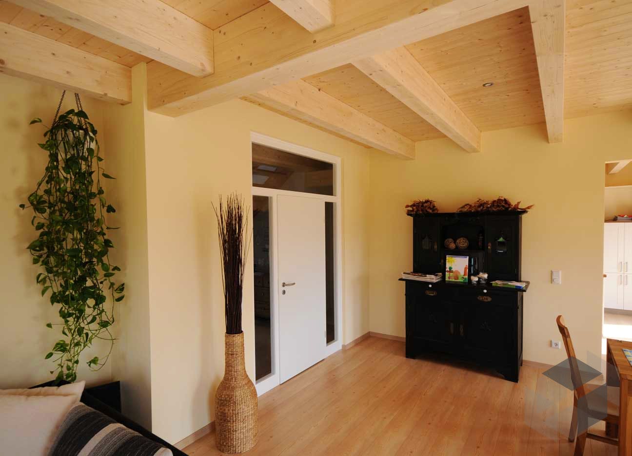 Einfamilienhaus Alexandra (KfW-Effizienzhaus 40) von Dammann-Haus ...